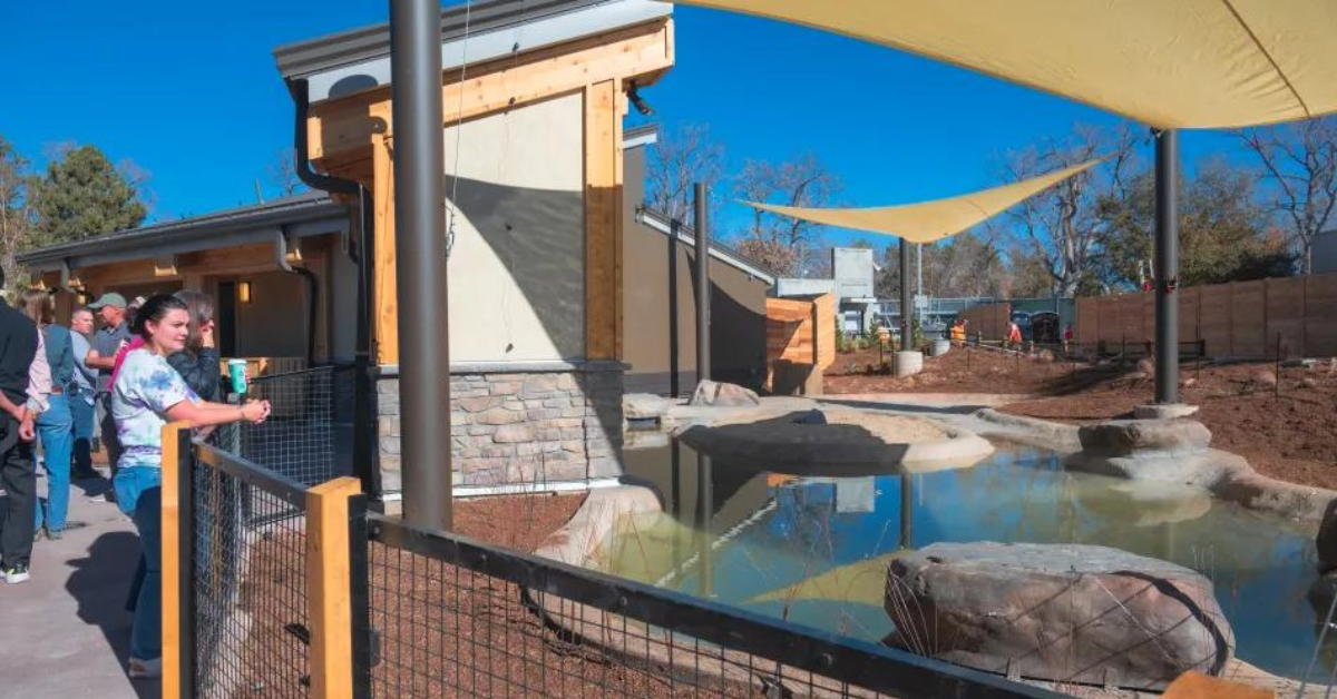 Denver Zoo unveils new name and conservation focus - Rocky Mountain Voice